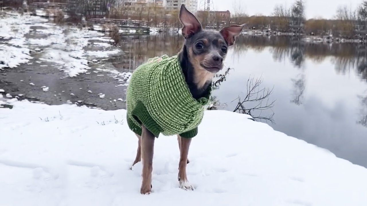 She Was Given Up When She Needed Help Most But Love Refused to Let Her ...