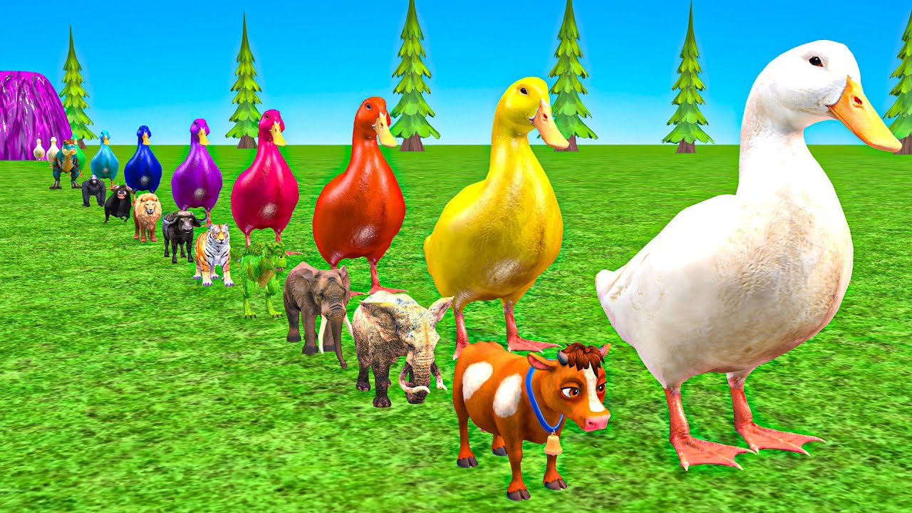 Funny Long Slide Game with Cow Elephant Gorilla Hippopotamus Tiger 3d ...