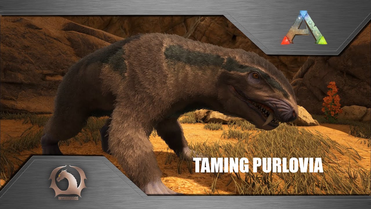 Ark Survival Evolved - Taming Purlovia - YouTube