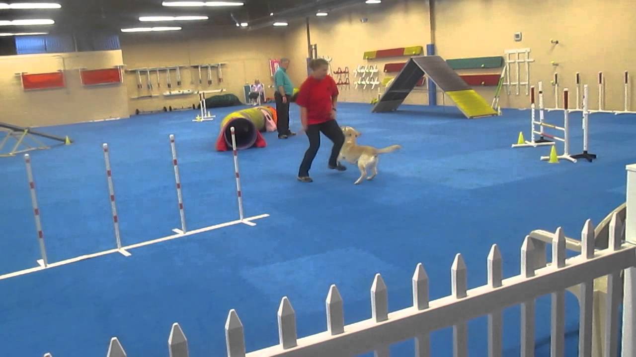 Izzy Y2K9 CPE Trial - YouTube