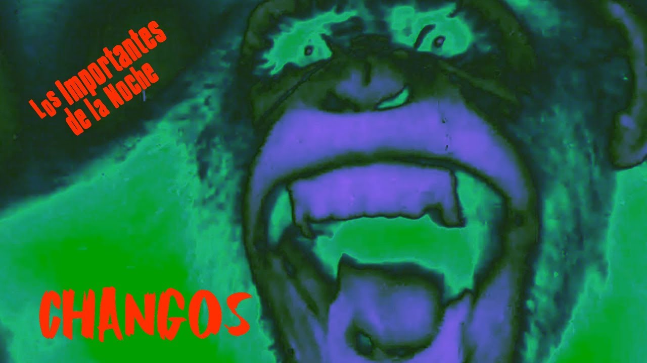 Los Importantes de la Noche - Changos (versión Mono) - YouTube