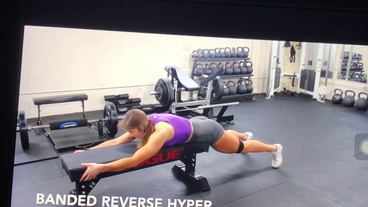 Banded reverse hypers on bench - YouTube
