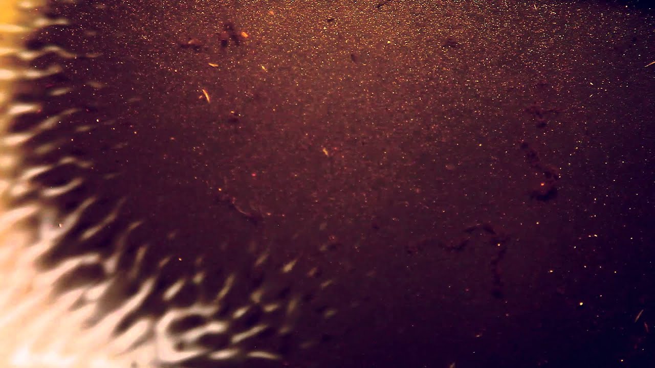 Turing Standing Waves - YouTube