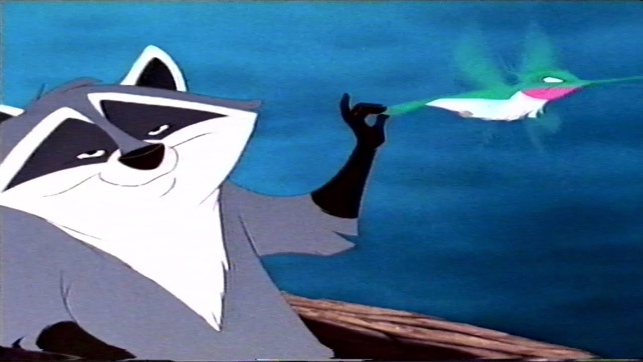 Pocahontas: Meeko (1995) (VHS Capture) (5) - YouTube