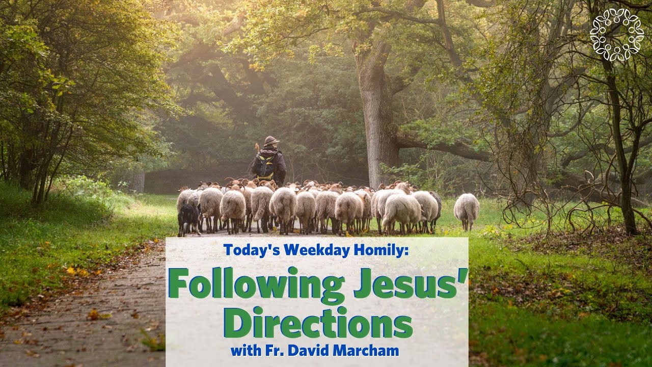 Following Jesus’ Directions | Father David Marcham - YouTube