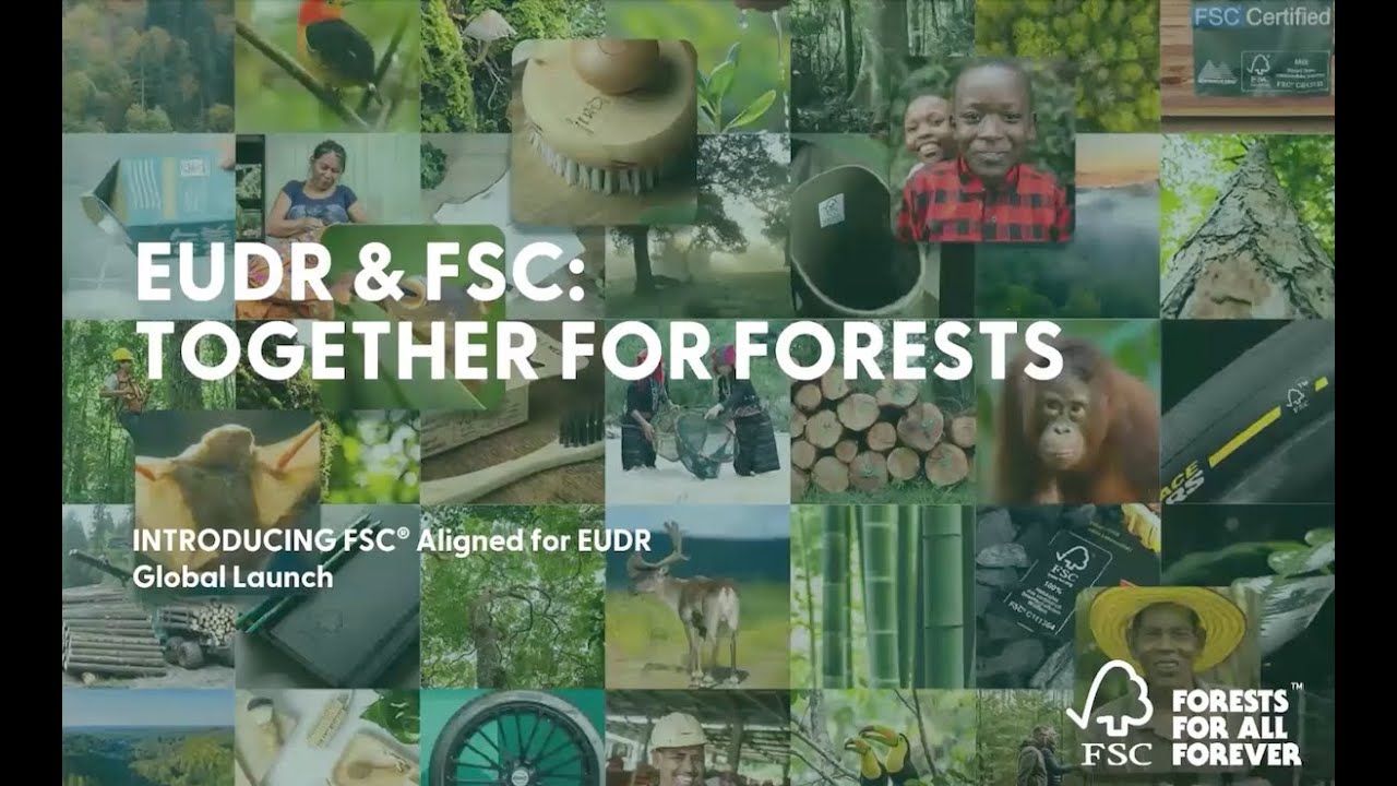 FRENCH - Introducing FSC Aligned for EUDR - Global Launch - YouTube