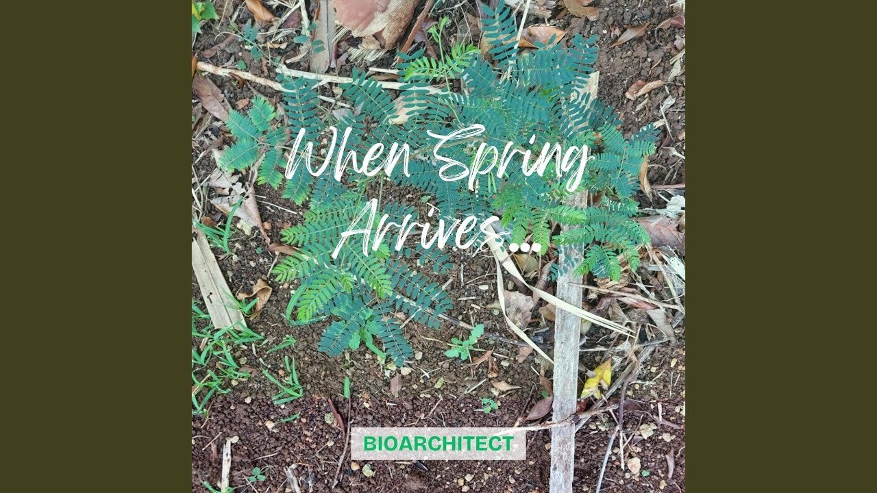 When Spring Arrives... (Instrumental) - YouTube