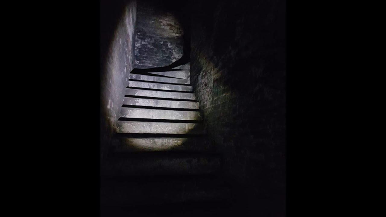 Fort Horsted promo - YouTube