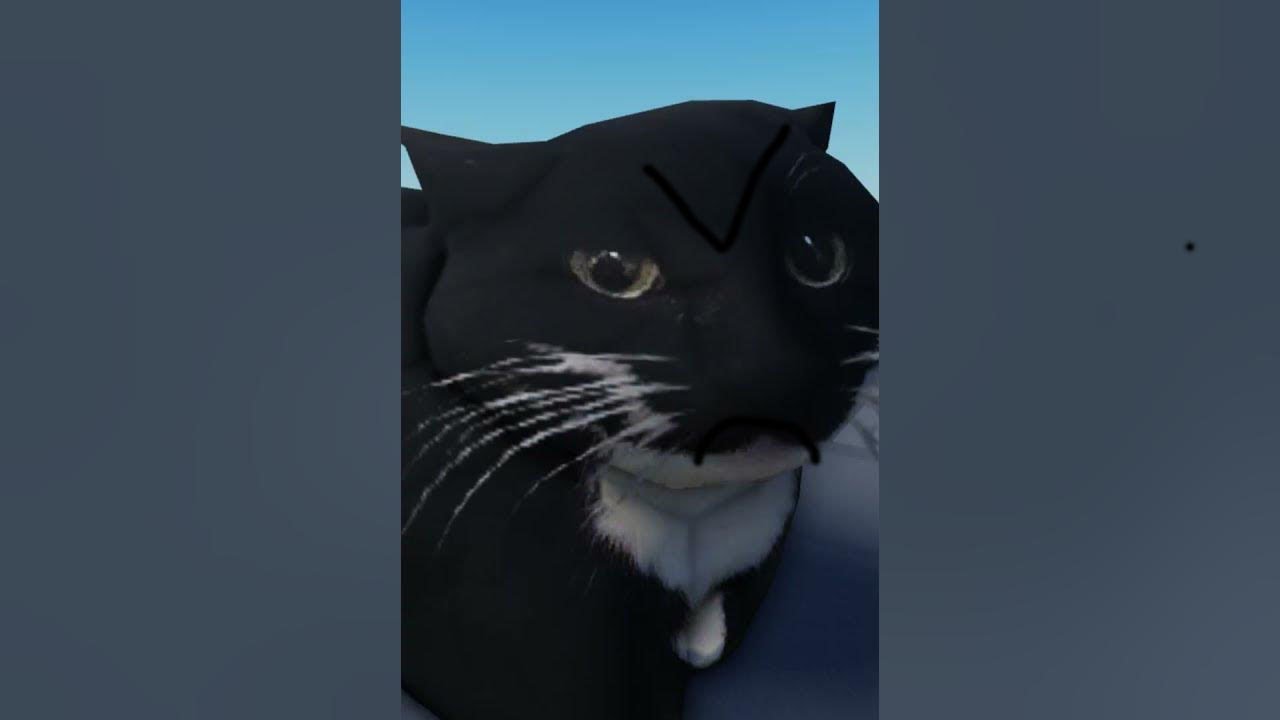 Maxwell Does Not Want To Be Carried - YouTube