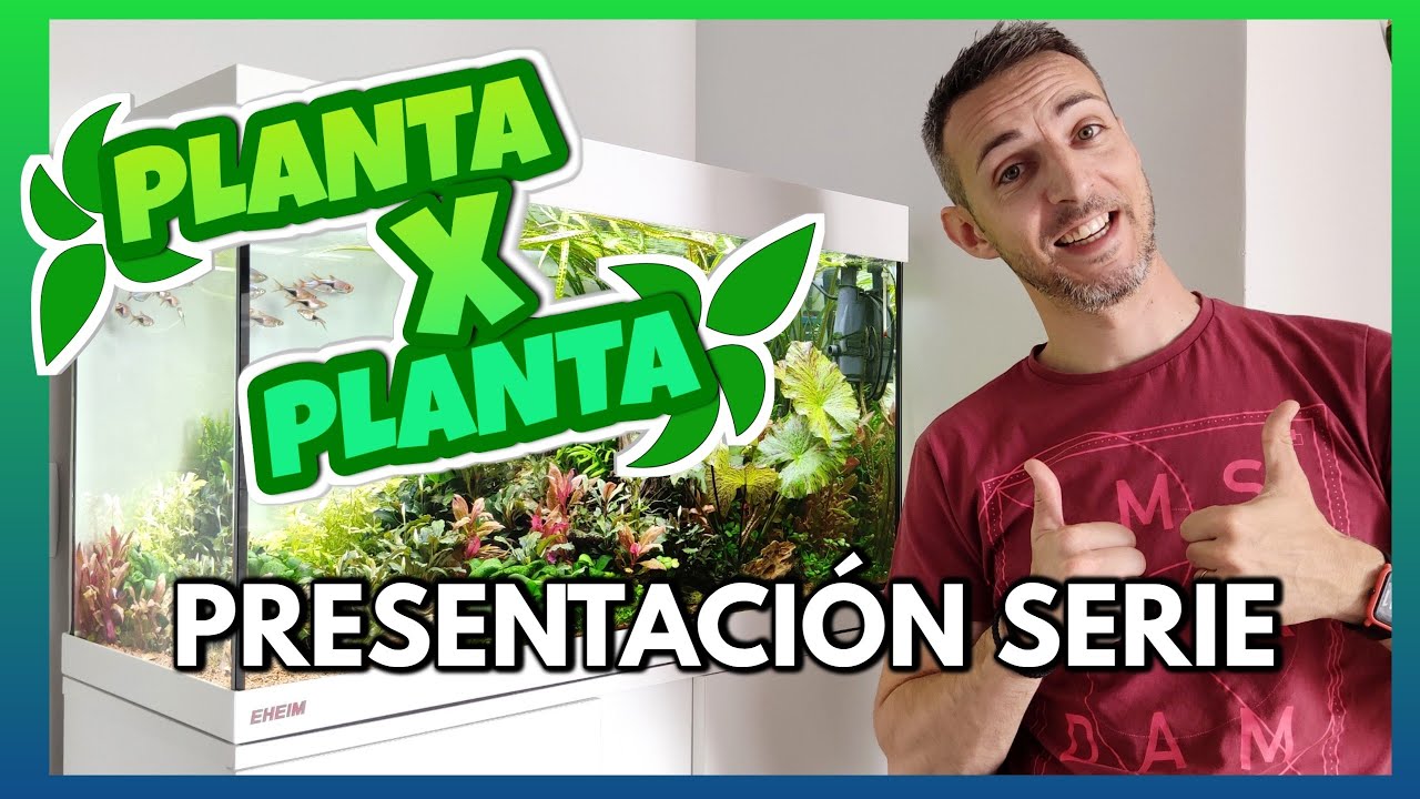 🟢 0# PRESENTACIÓN serie PLANTA X PLANTA -=l[ MiTu HD ]l=- - YouTube