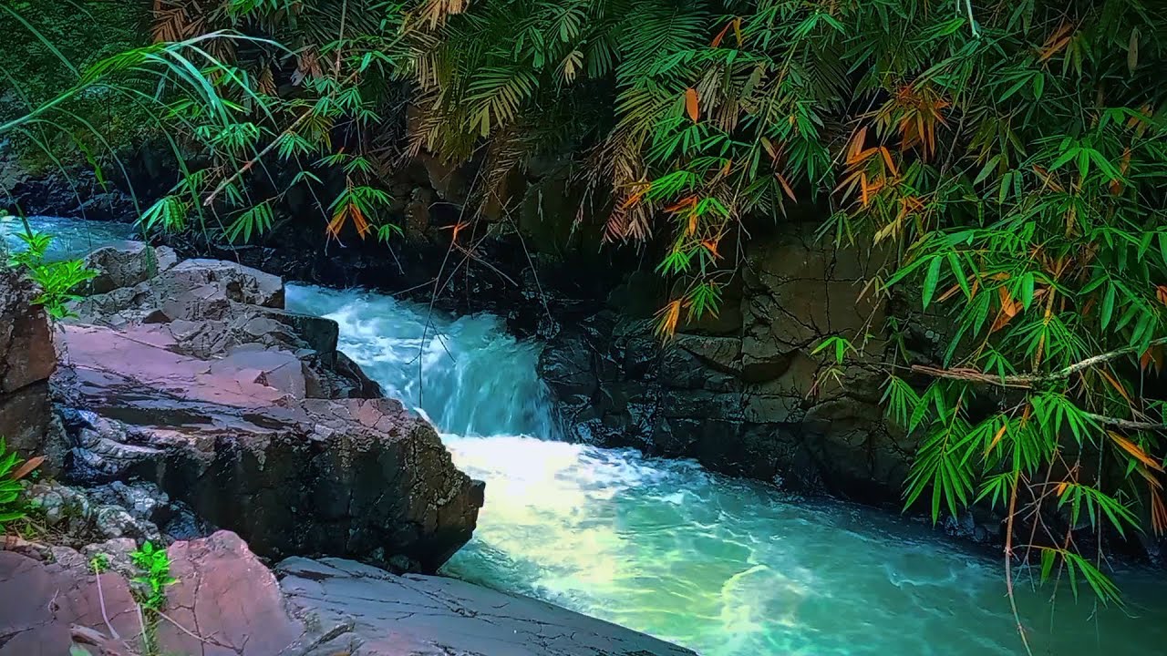 Healing Waterfall Sounds for Deep Rest and Inner Peace - YouTube