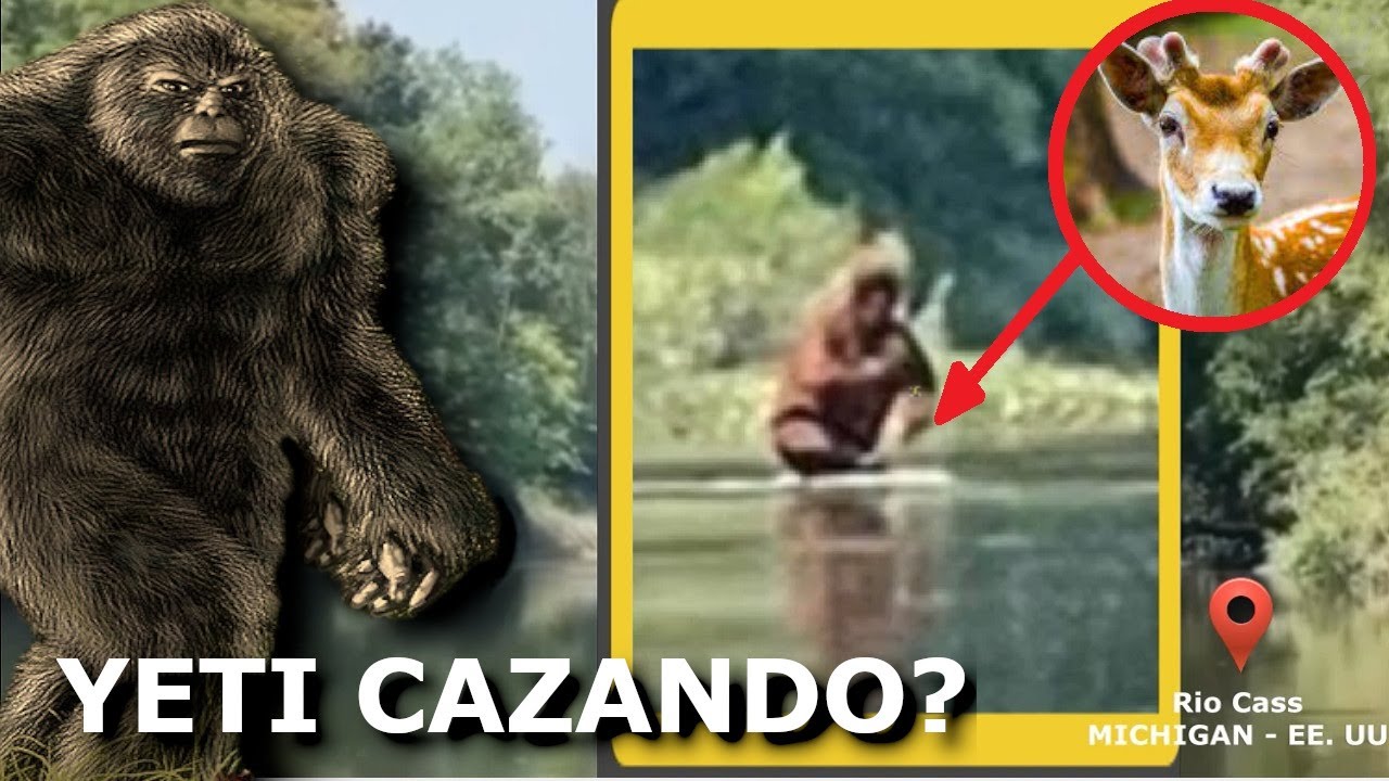 PIE GRANDE - El extraño video del supuesto avistamiento de Pie Grande ...