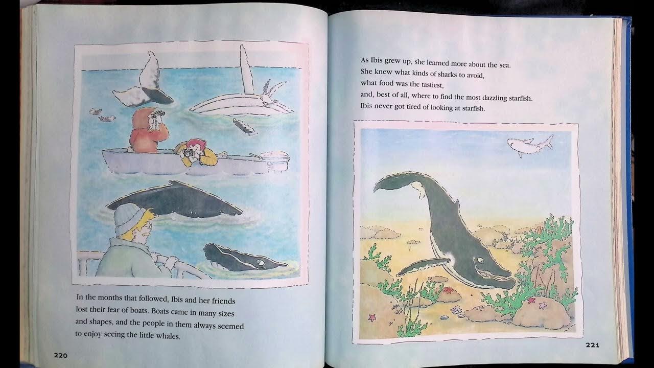 Ibis-a true whale story - YouTube