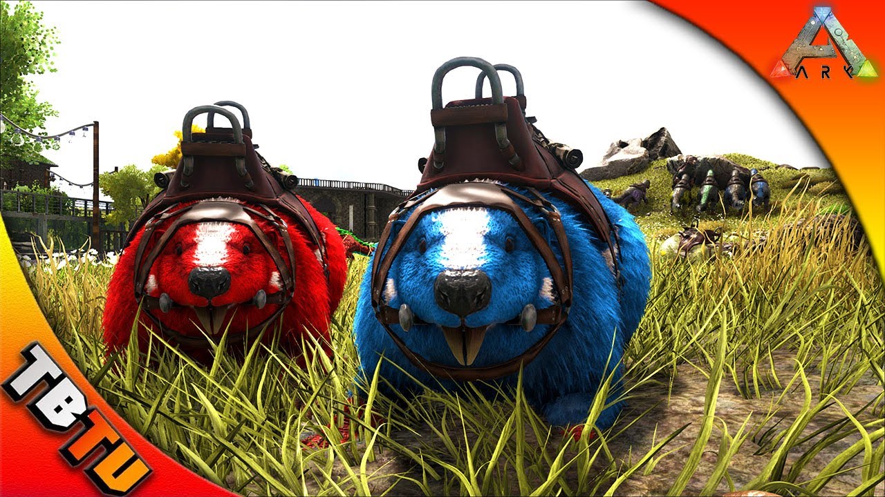 Ark: survival Evolved Mutation Zoo E10 - CASTOROIDES BREEDING AND COLOR ...