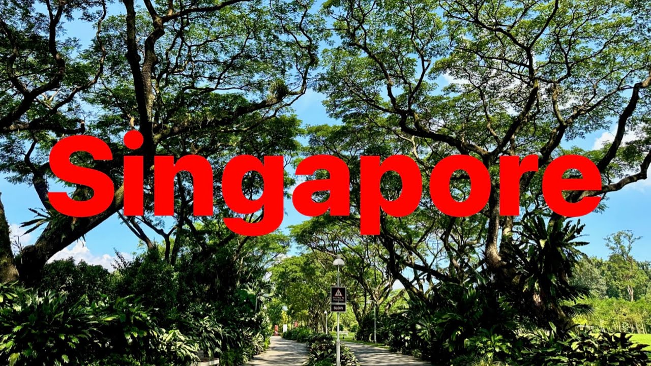 Jurong Lake Gardens (The Logs Trail / The Lone Tree / Rasau Walk ...