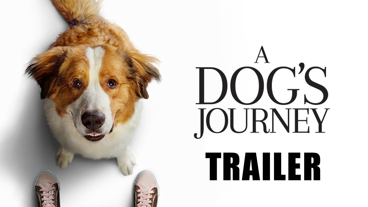 A DOG'S JOURNEY | TRAILER | Kommer i 2019! - YouTube
