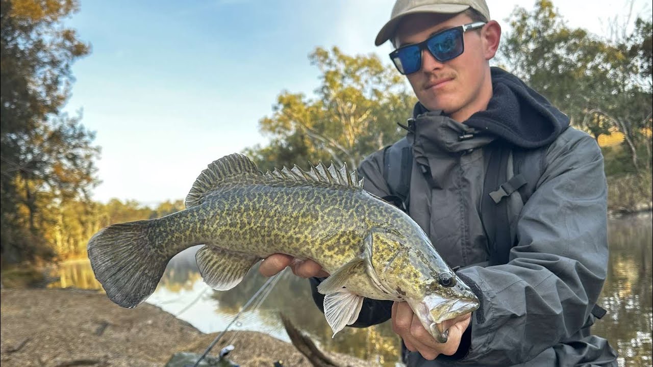 Copeton Murray Cod Trip - YouTube