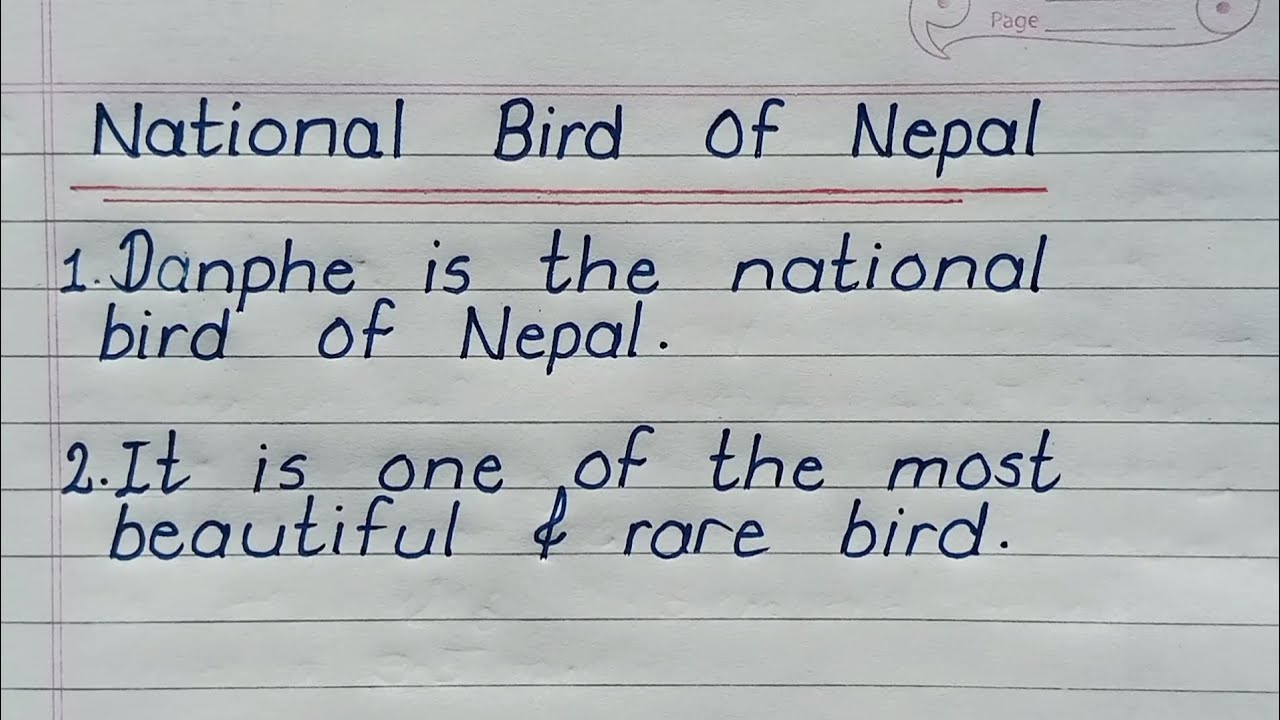 10 Lines Essay On National Bird Of Nepal || Short essay On Danphe ...