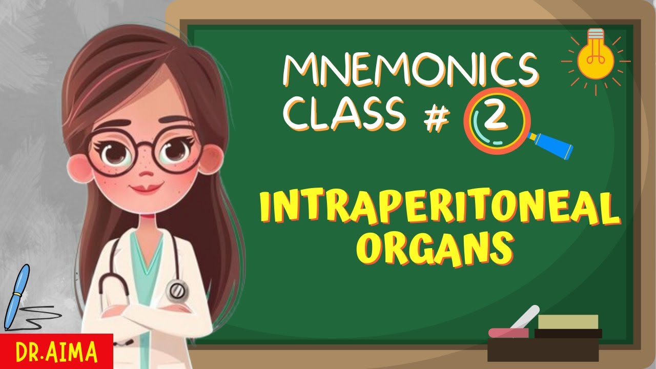 Intraperitoneal Organs||Mnemonic||Anatomy||Medical Students. - YouTube