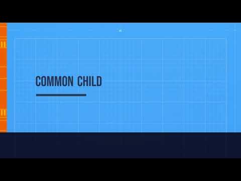Common Child || LitCoder Solutions Python Contest 3- CS - YouTube