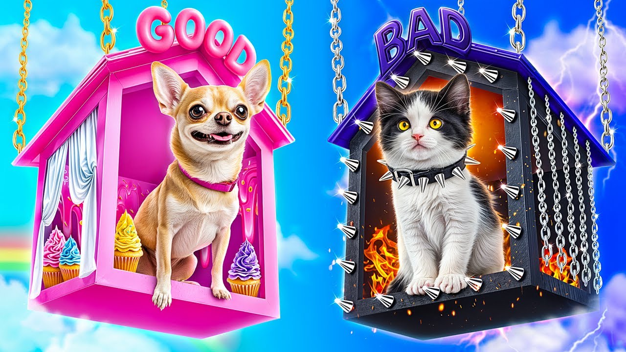 Good Dog vs Bad Cat! We Build a Tiny House for Pets! - YouTube