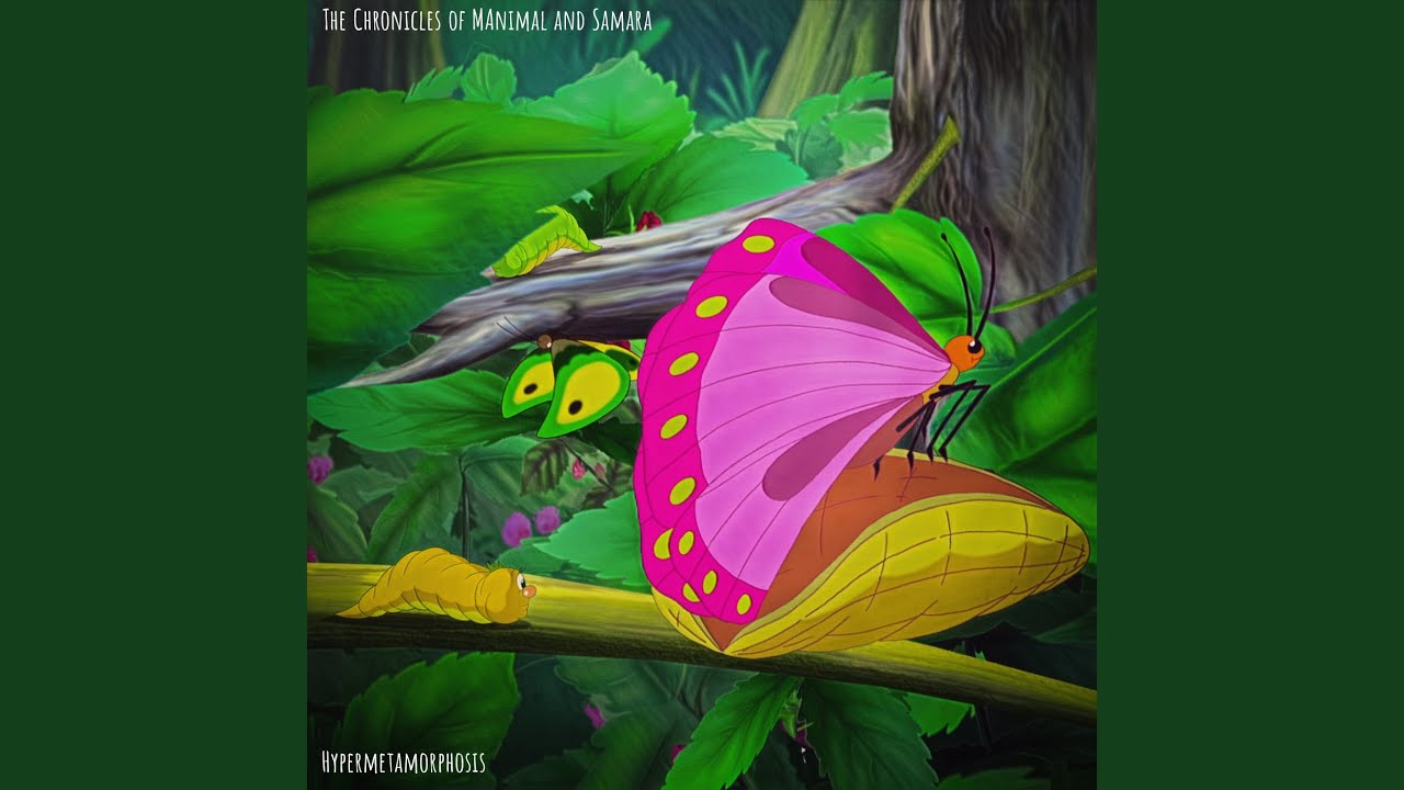 Hypermetamorphosis - YouTube