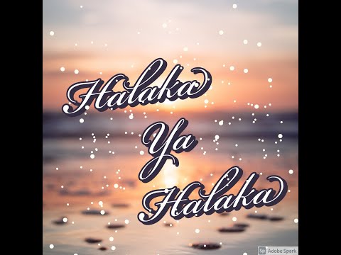 ► Cheb Hakim Duo Chawki - Halaka Ya Halaka ♫