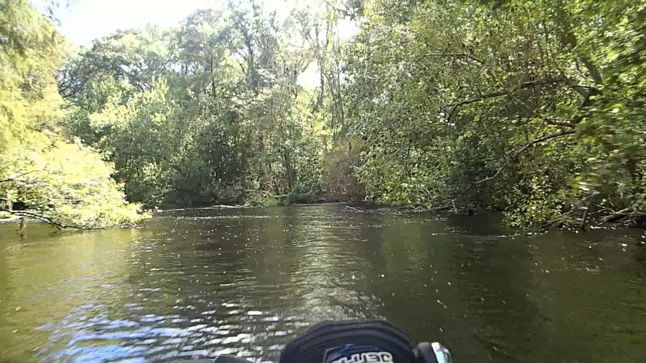 Oklawaha River Near the Rodman Dam - YouTube