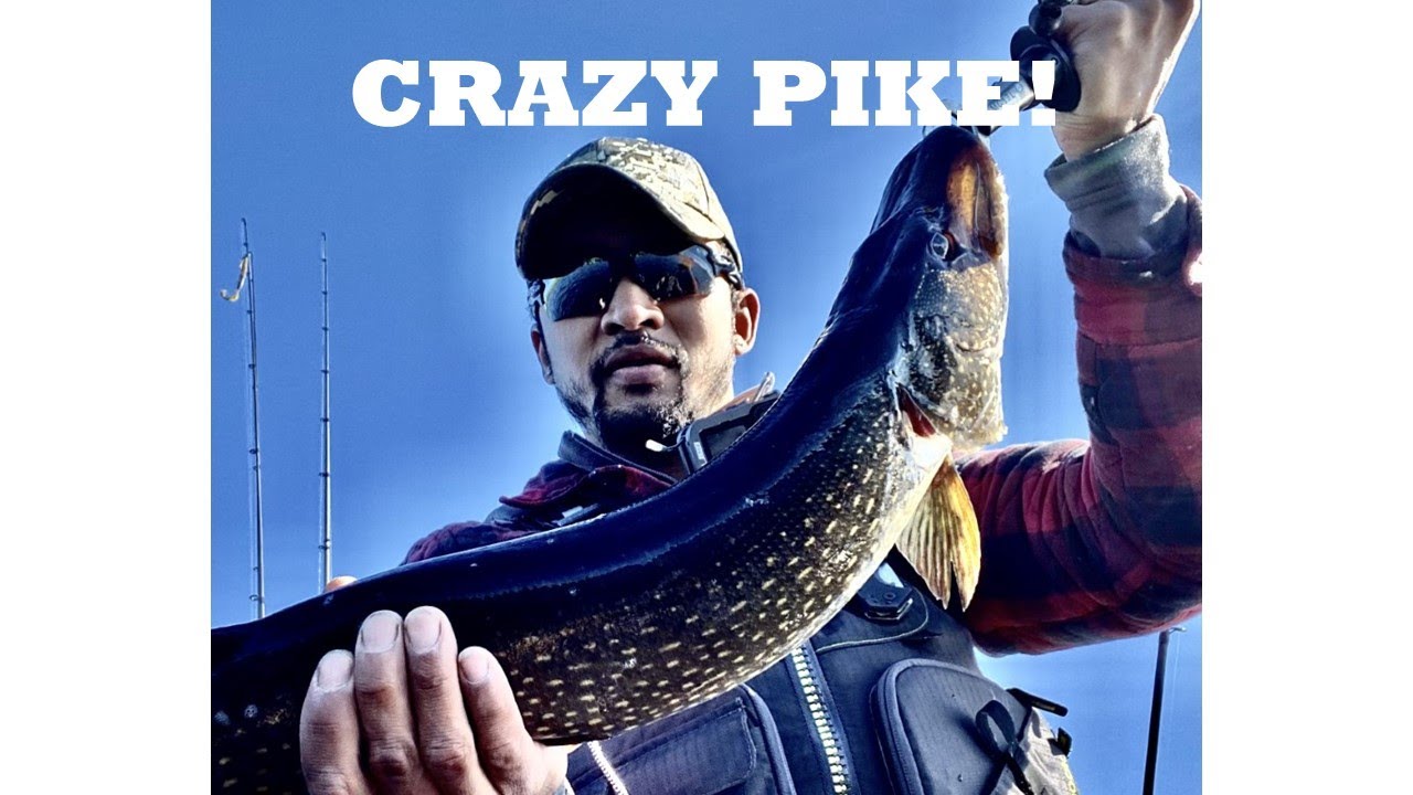 Catching Gators in a Kayak! - YouTube