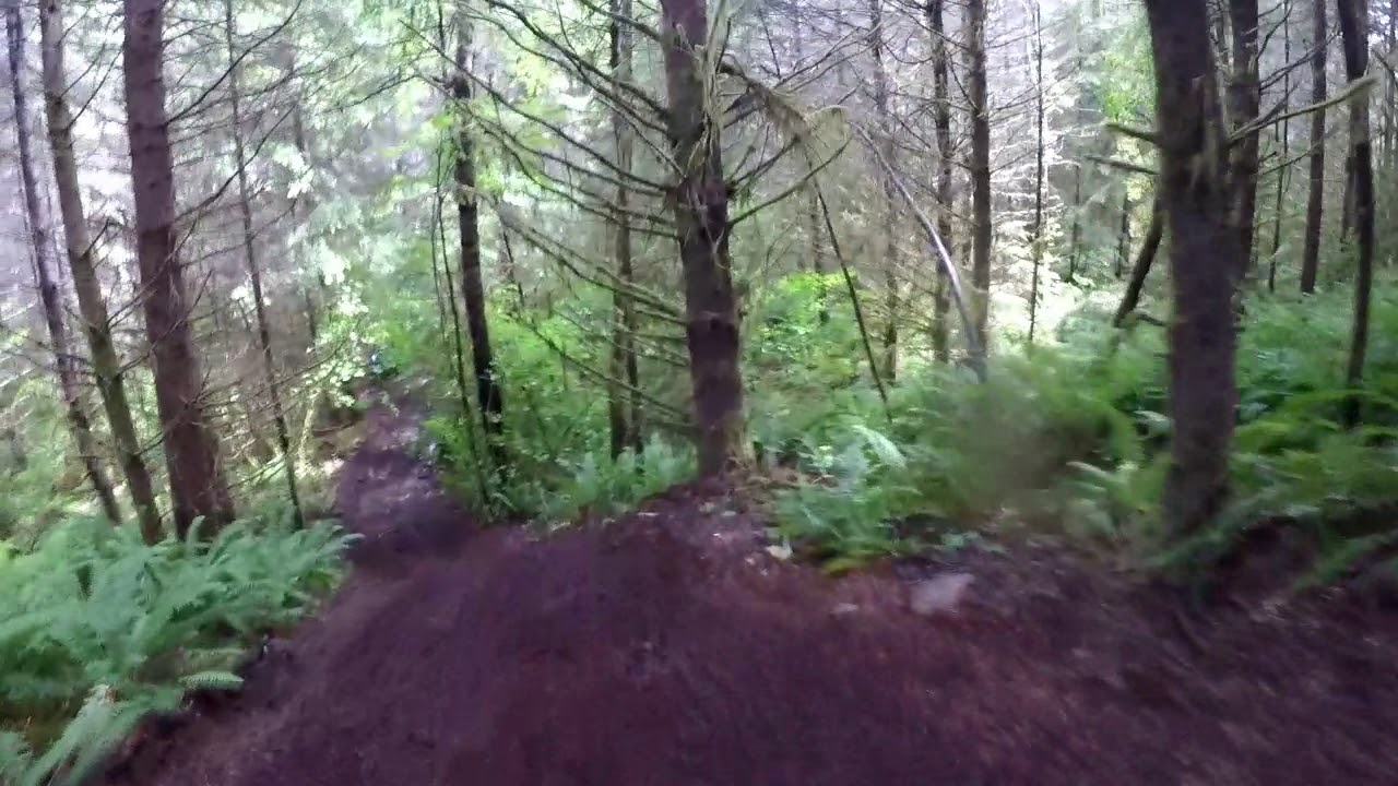 Watch out for that tree! - YouTube