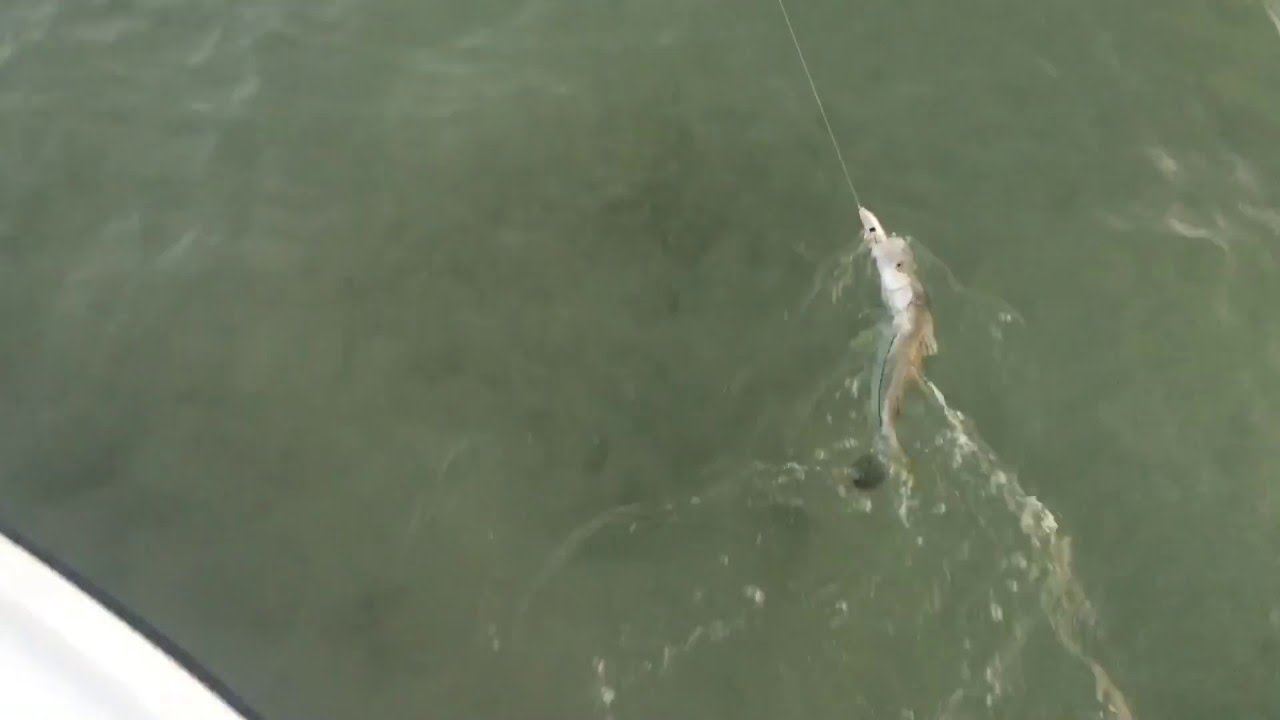 Fishing Lures for Snook and Mackerel at Fort Pierce Inlet - YouTube