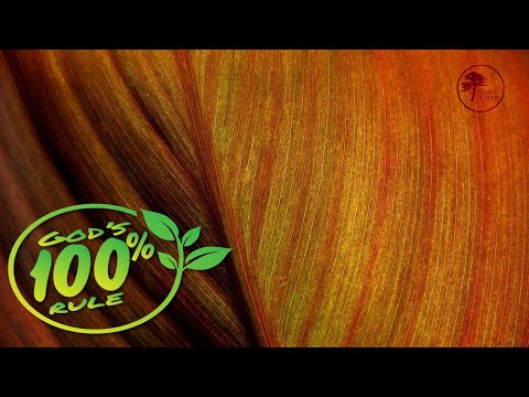 Gods 100 Percent Rule - YouTube