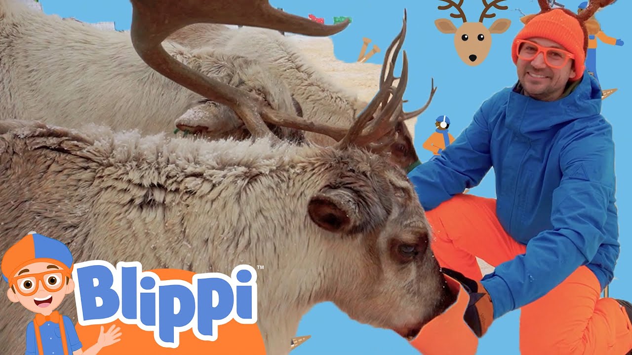 Reindeer Farm | Blippi | Fun Videos For Kids | Moonbug Kids - YouTube