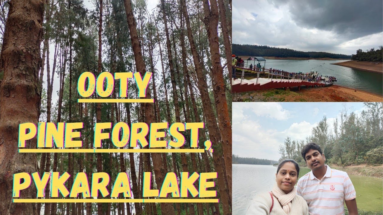 Ooty Pine forest view- Pykara Lake,boating in tamil- Dr.Deepa selvam ...