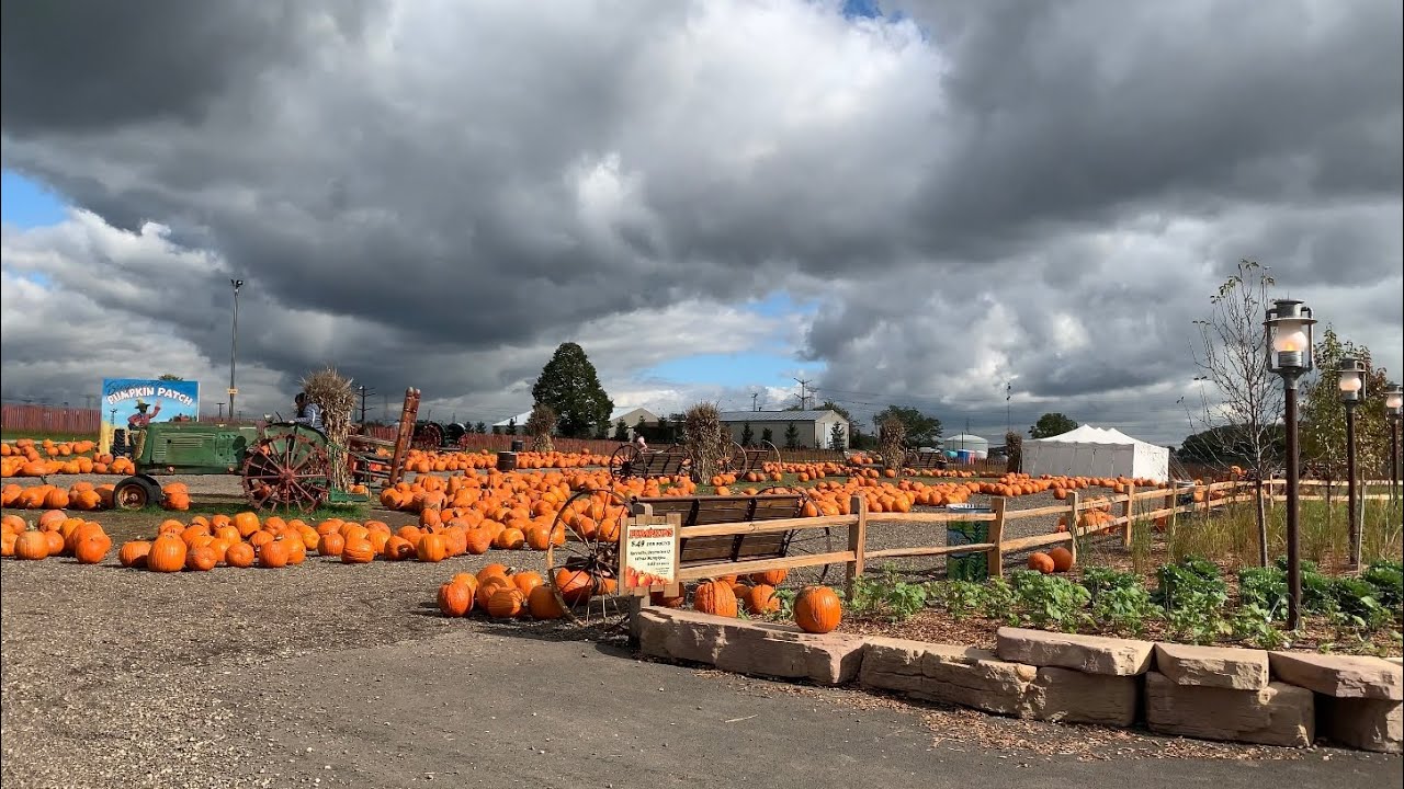 Enjoying Bengtson's Farm | Fall Fest | Pumpkin patch | Rides | - YouTube