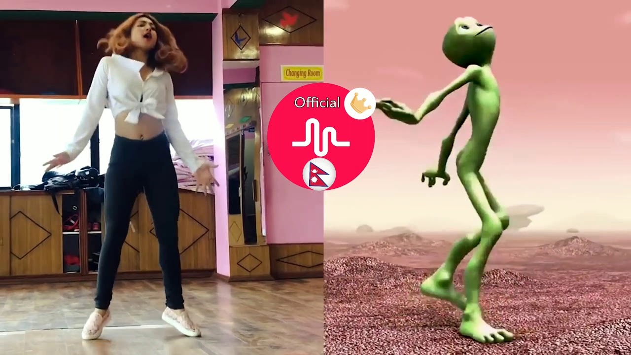 Aashma Biswokarma Nepal Famous Dancer | Dami tu cosita challenge | Cartoon Crewz | - YouTube