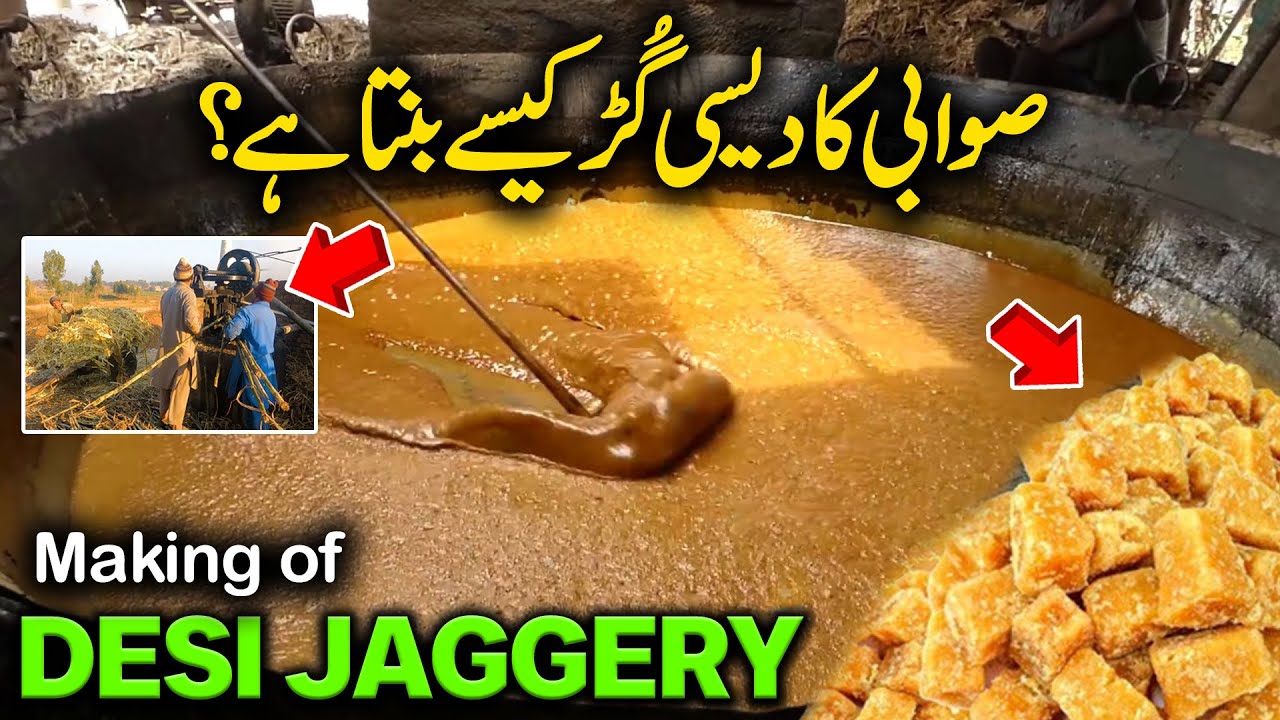 Desi Gurh Making | Organic Jaggery Powder Making Process in Pakistan ...