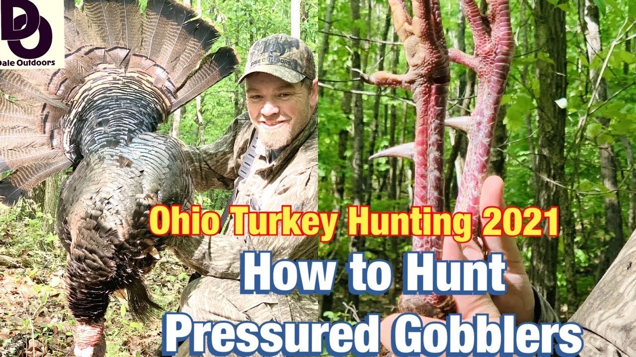 Ohio TURKEY HUNTING 2021/ How to Hunt Pressured Gobblers - YouTube