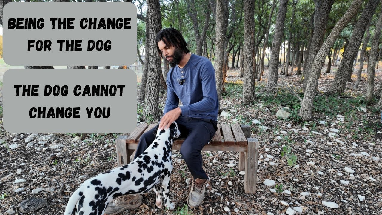 Being The Change For The Dog The Dog Cannot Change You - YouTube