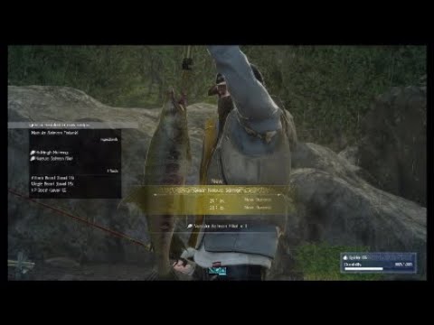 Catching a rare fish for Ignis' new recipe - YouTube