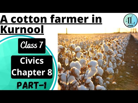 A cotton farmer in Kurnool | A Shirt in the Market | Class 7 Chapter 8 ...