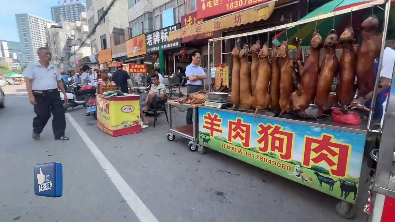 Dog meat street in China | China Street Dog Meat | - YouTube