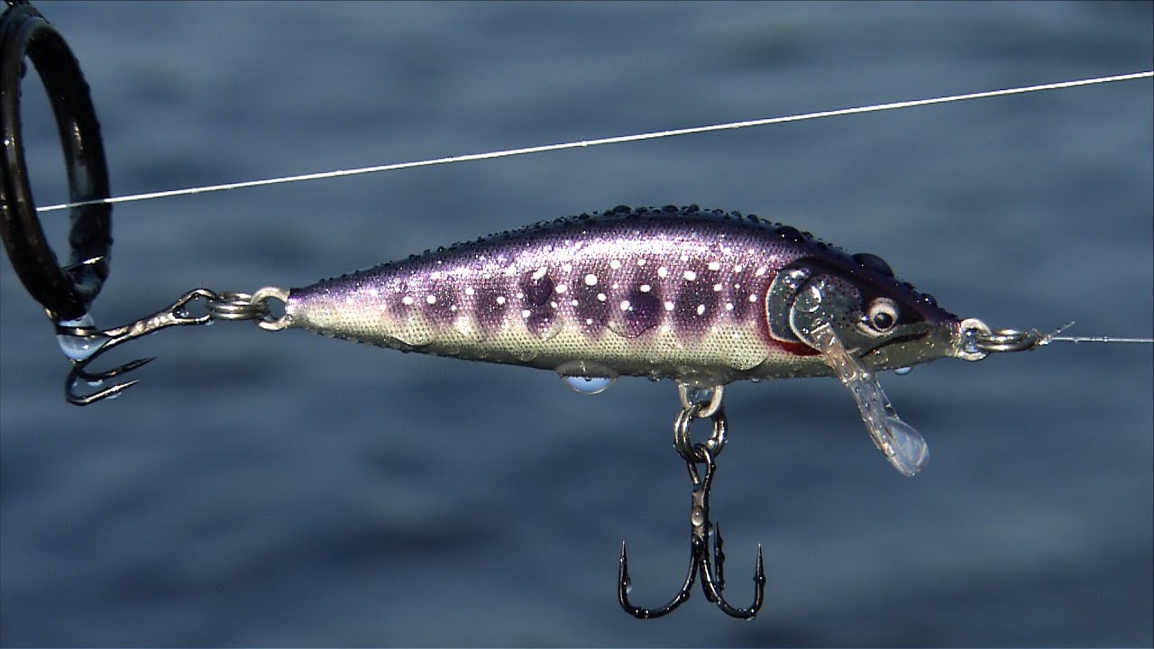 OUTDOOR PASSION, THE RAPALA, COUNTDOWN ELITE, FANTASTIC 2023 HD UNDERWATER FOOTAGE!!! - YouTube