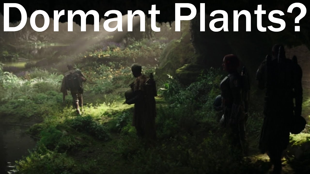 The Mandalorian | Dormant Plants on Mandalore? - YouTube