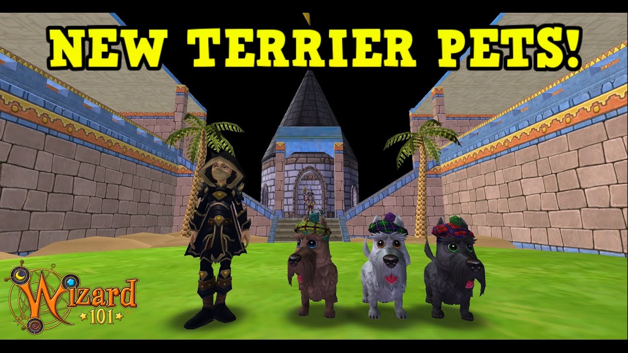 Wizard101 : NEW TERRIER PETS! - YouTube