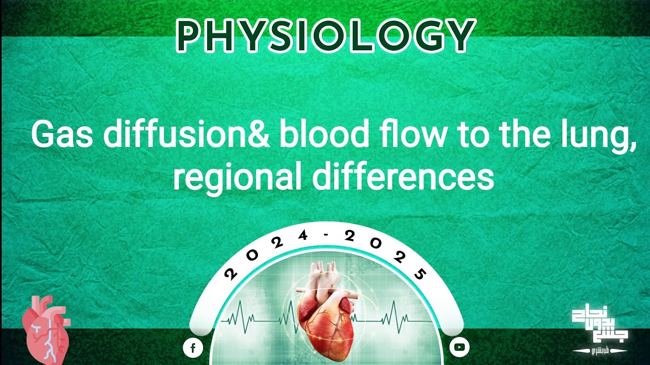 L4 part 1: Gas diffusion, blood flow to lung, regional differences ...