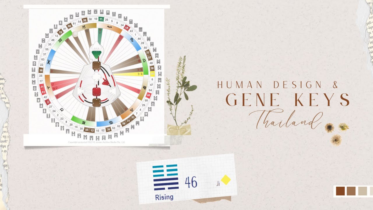 Introduction to Human Design & Gene Keys - YouTube