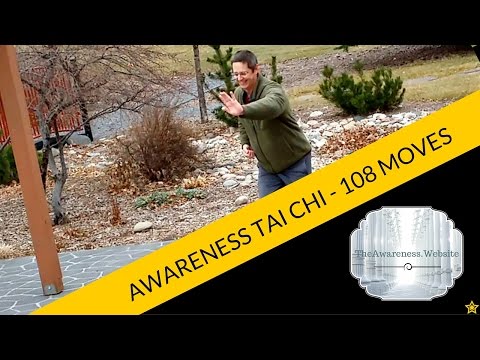 108 Move Tai Chi Set Taught To Me By Mr. Moy Lin Shin