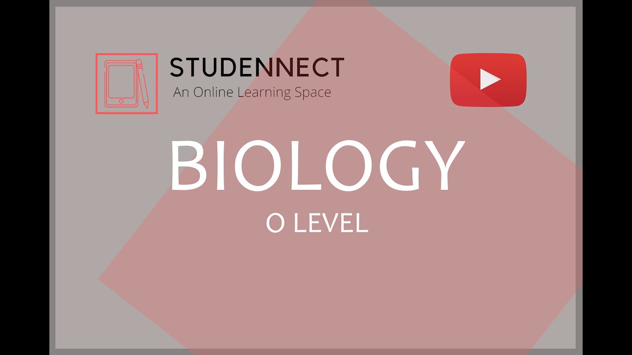 O Level Biology | Cells | Cell Structure - YouTube