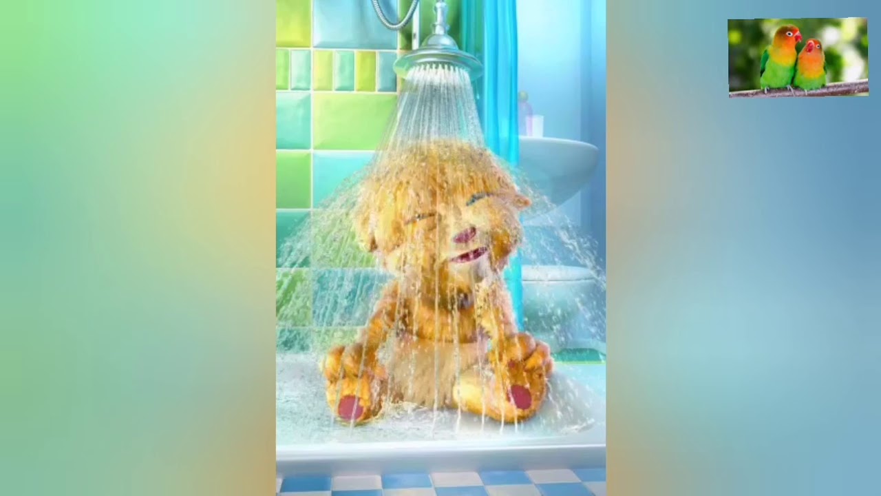 كليب وأغنية هالصيصان شو حلوين3 بدون ايقاع2020-chicks are beautifiul-Hal ...